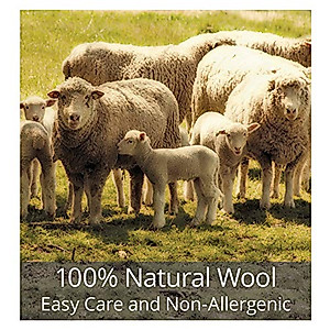 Chandler 4 Corners Artist-Designed Playing Lab Pals Hand-Hooked Wool Decorative Throw Pillow (8” x 24”) Dog Pillow for Couches & Beds - Easy Care & Low Maintenance - Labrador Lumbar Pillow