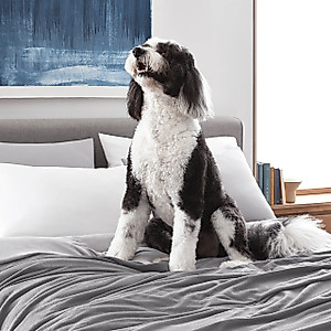 Martex Supersoft Fleece Blanket Queen Size - Fleece Bed Blanket – All-Season Warm Lightweight Anti-Static Throw Blanket - Blanket For Couch & Sofa (90 x 90 Inches, Grey)