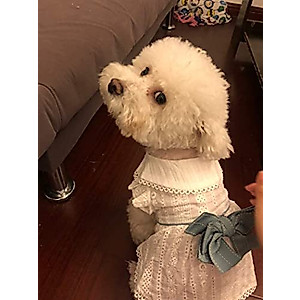 Jingmezhi Pet Cotton Embroidered Back Bowknot Hollow Out Dresses for Cat Dog Daily Clothing (S+(6.6lb~7.7lb))