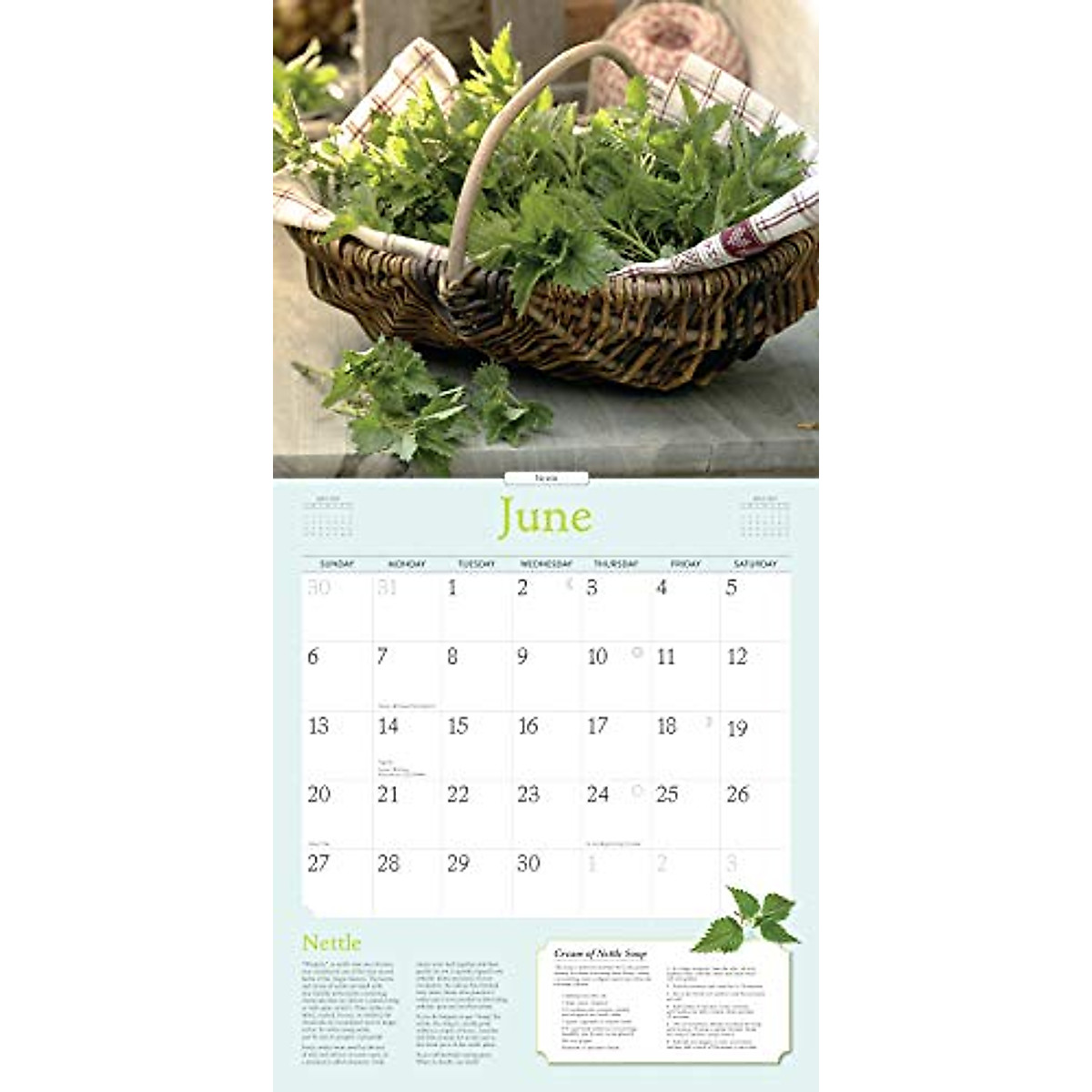 Rosemary Gladstar's Herbs Wall Calendar 2021