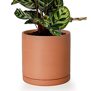 D'vine Dev Medium 8 Inch Terracotta Plant Pot with Drainage Hole and Saucer, Round Cylinder Planter Pot for Indoor Plants, 40-X-A-4
