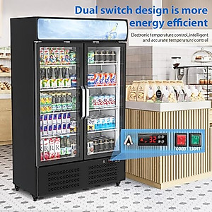 Commercial beverage display cabinet, upright display refrigerator, glass door, LED light and adjustable shelf, can place beverages and wine, suitable for commercial, office and other occasions