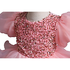 Myosotis510 Girls' Lace Princess Wedding Baptism Dress Long Sleeve Formal Party Wear for Toddler Baby Girl (Ruffle Pink, 6 Years)