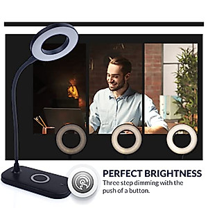 Newhouse Lighting Zlata Painted Black Plastic Tap or Touch Switch Dimmable and Adjustable Color Temperature Office Desk Lamp with 21 LEDs and USB Port