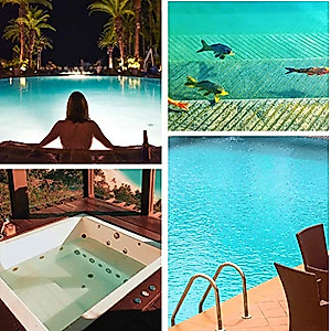 Pool Brush, 18" Pool Brushes for Cleaning Pool Walls, Premium Nylon Bristles Pool Brush Head with EZ Clip (Blue)