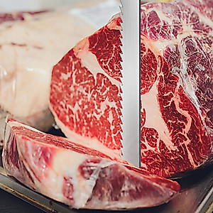 AxPower 5 Pack Stainless Steel Reciprocating Saw Blades Sawzall Blades for Frozen Meat Bone Food Cutting Beef Turkey