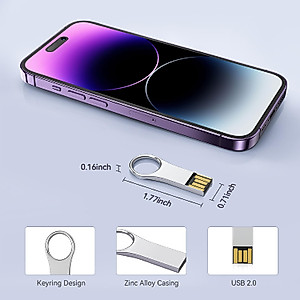 RAOYI 10 Pack 2GB Metal Key Shape USB Flash Drive, USB 2.0 Memory Stick Thumb Drives Jump Drive-Silver