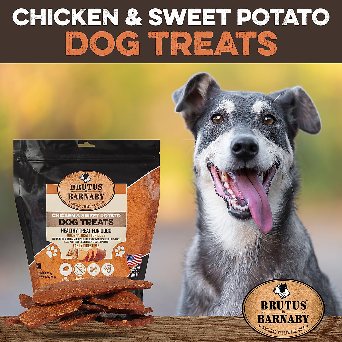 BRUTUS & BARNABY Chicken & Sweet Potato Jerky Dog Treats - Grain-Free, Preservative-Free, No Fillers - All Natural USA Chicken & Sweet Potato, High in Antioxidants - Healthy, Tasty Treat for Dogs