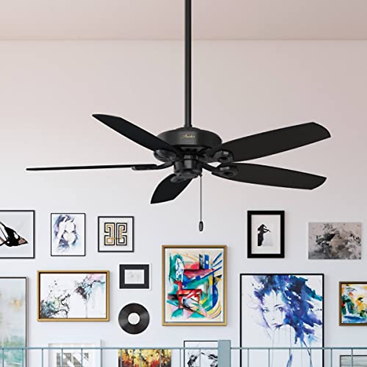 Hunter Fan Company 53243 Builder Elite Indoor Ceiling Fan with Pull Chain Control, 52", Matte Black