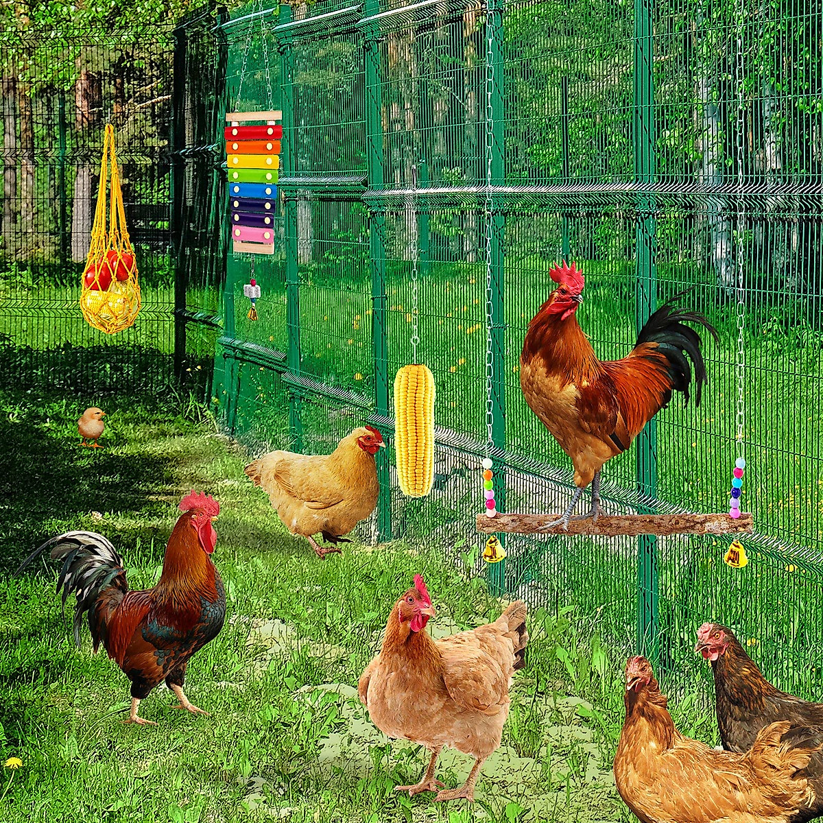Hipykat 6 Packs Chicken Toys Set - with Chicken Xylophone Toy, Chicken Mirror, Chicken Ladder Bridge, Coop Swing, Vegetable Hanging Chicken Feeder, Chewing Foraging Toys, Accessories for Hens