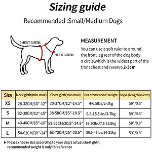SAEGYPET Dog Harness with Leash Set, No Pull Reflective Strips Adjustable Step in Dog Collars Harness with Breathable Padded Vest Harness for Small Large Dogs Training and Running (S, Gray)