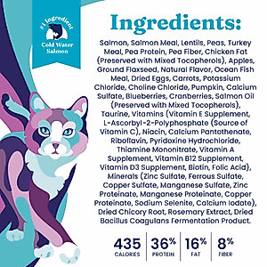 Solid Gold Indoor Dry Cat Food - Let's Stay in Cat Food Dry Kibble for Indoor Cats - Hairball & Sensitive Stomach - Grain & Gluten Free - Probiotics & Fiber for Digestive Health - Salmon - 12lb