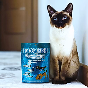 Fat-Cat Fish - Organic Crunchy Treats for Pets - Freeze-Dried 100% Raw Wild Salmon Dog and Cat Treats - Natural Healthy Low Calorie Snacks w/Protein Omega 3&6 - Made in USA - Pack of 3 (1.25 oz x 3)