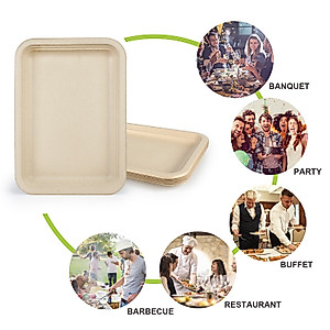 BangShou 14 Inch Disposable Food Trays, 10 Pack 100% Biodegradable, Heavy-Duty Food Crawfish Trays, Compostable Plates Extra Large Paper Plates For Crawfish, BBQ, Party, Serving Platter