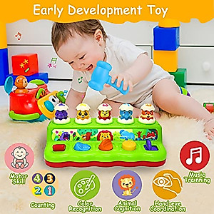Cieyan Interactive Pop Up Animals Toy with Music and Light, Animal Sound, Hammer, Baby Toys 12-18 Months 9+ Months, Cause and Effect Toys for 1 Year Old Boy Girl Toddler Toys Age 1-2 Baby Musical Toys