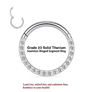 PEAKLINK 16G Septum Jewelry CZ Septum Ring G23 Titanium Seamless Segment Hinged Clicker Ring Conch Ring Helix Piercing Cartilage Tragus Earrings 6mm Nose Hoop Ring Silver Daith Piercing Jewelry