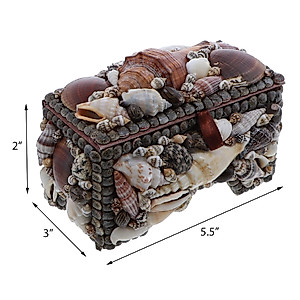 Li'Shay Treasure Box Trinket Jewelry Box with Mixed Seashells with Feet