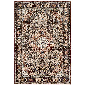 SAFAVIEH Bijar Collection 4' x 6' Brown / Rust BIJ648D Traditional Oriental Distressed Non-Shedding Living Room Bedroom Accent Rug