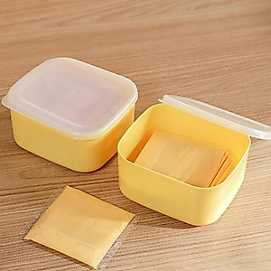TOPINCN Cheese Holder, Airtight Sliced Cheese Container with Lid, Plastic Refrigerator Storage Box for Cheese Vegetables Fruits, Cheese Storage Box for Fridge (L)
