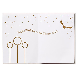 Papyrus Harry Potter Birthday Card (The Chosen One)