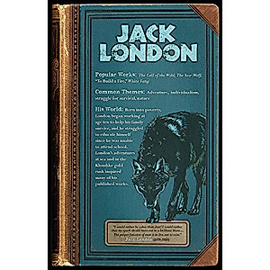 NORTH STAR TEACHER RESOURCE American Authors Bulletin Board Set