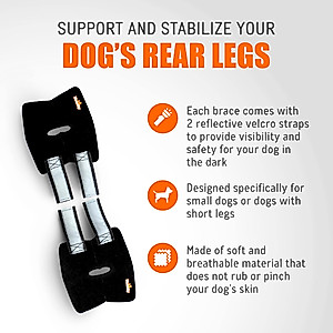 NeoAlly - Short Rear Leg Hock Brace, Dog Leg Brace for Rear Leg, Hock & Ankle Support, Dog Brace for Torn ACL & CCL, Dog Leg Sleeve with Reflective Straps, Small, Black, 1 Pair