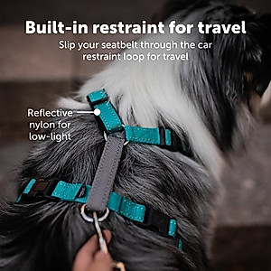 PetSafe 3 in 1 Dog Harness - No Pull Solution for Dogs - Reflective Dog Harness - Front D-Ring Clip Helps Stop Pulling - Comfortable Padded Straps - Top Handle Enhances Control - Plum - Extra Small