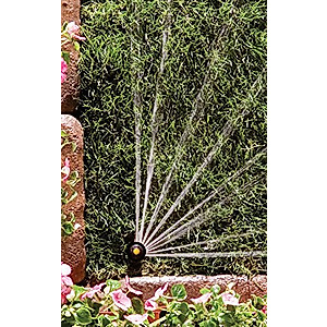 Rain Bird 12SAQ High-Efficiency Mini Rotary Pop-Up Spray, 90° Quarter Circle Pattern, 13' - 18' Spray Distance, 4" Pop-up Height