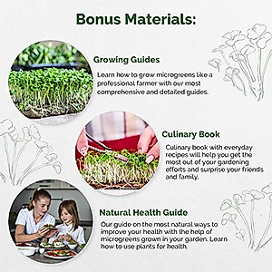 Arugula Sprouting & Microgreens Seeds - Non-GMO, Heirloom Sprout Seeds Kit in Bulk 1lb Resealable Bag for Planting & Growing Microgreens in Soil, Coconut Coir, Garden, Aerogarden & Hydroponic System.