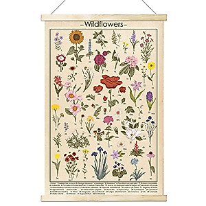 Vintage Wildflowers Poster Botanical Wall Art Prints Colorful Rustic Style of Floral Wall Hanging Illustrative Reference Flower Chart Poster for Living Room Office Classroom Bedroom Dining Room Decor