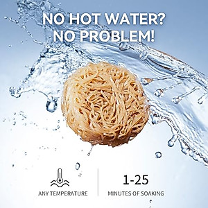 Zhuangmian Vegan Noodles, Non-Fried Ramen Noodles, Flaxseed Oil, Tomato & Mushroom Flavor, Low-Fat High-Fiber, 6-Pack (600g)