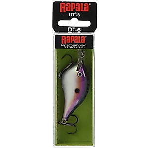 Dives-to 06 Big Shad