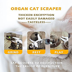 Magic Organ Cat Scratching Board ,Organ Cardboard Cat Scratcher for Indoor Cats Toys (1pcs)