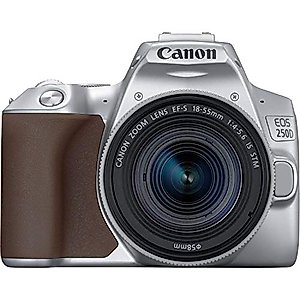 Canon EOS 250D (Rebel SL3) DSLR Camera w/ 18-55mm is STM Lens (Silver) (International Model)