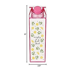 Acrylic Water Bottle by Heartfelt - Square Bottles - Clear Carton Juice or Milk Carton Water Bottle, 17-Ounce, Fresh Start