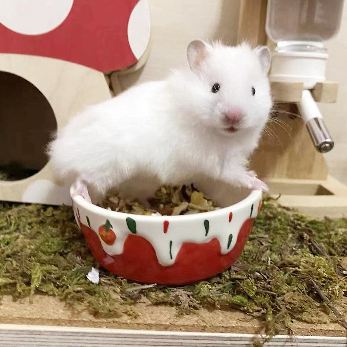 Toietmoi Hamster Ceramic Cartoon Food Bowl Water Prevent Tipping Christmas Party Style Guinea Pig Rabbit Gerbil Chinchilla Hedgehog Rat Small Animals Pets Assorted Colors