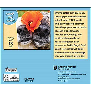 The Daily Boop 2023 Day-to-Day Calendar: By Boop My Nose