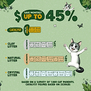 Catalyst Natural Soft Wood Cat Litter (2 Pack, 10lb Bags) - Superior Odor Control, Strong Clumping, Low Dust, and Biodegradable (10lb, Set of 2, Multi Cat)