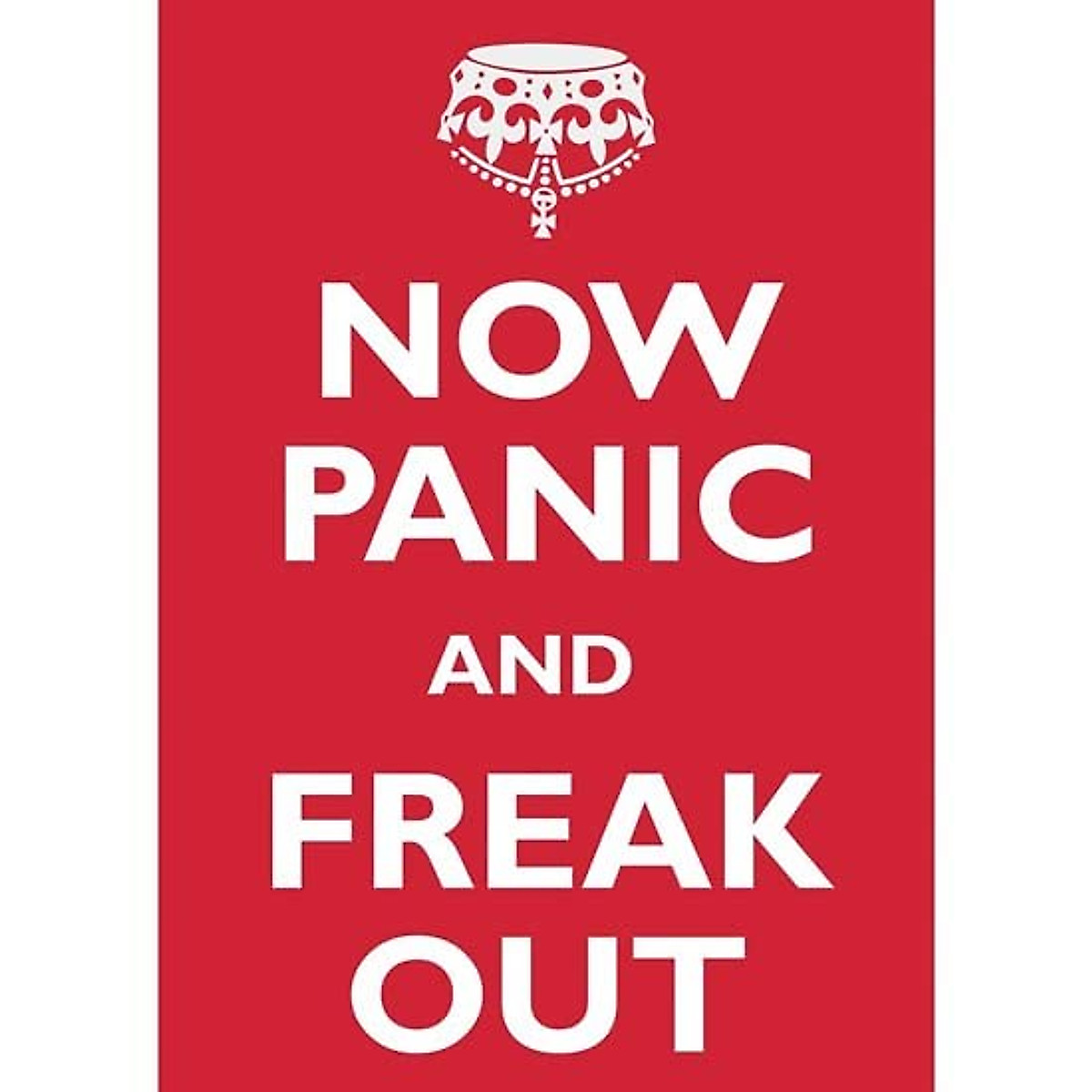 CafePress Now Panic And Freak Out Mug Ceramic Coffee Mug, Tea Cup 11 oz
