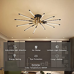 Modern Led ceiling light fixtures flush mount, Black and Gold Light Fixture Ceiling Mount, Modern Dining Room Light Fixture hanging,12-head Led Ceiling Lights for Bedroom,Living Room,Kitchen, Hallway