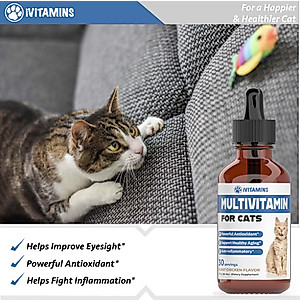 Cat Multivitamin - Supports Immune Health, Skin, Coat, Heart Health & More - Cat Vitamins - Cat Supplements & Vitamins - Cat Vitamins for Indoor Cats - Kitten Vitamins - Cat Immune Support - (1)