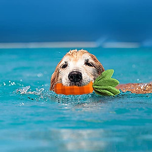 Dog Squeaky Chew Toys for Aggressive Chewers, Rubber Carrot Dog Toys for Training and Cleaning, Durable Interactive Tough Dog Toy for Puppy Medium Large Dogs