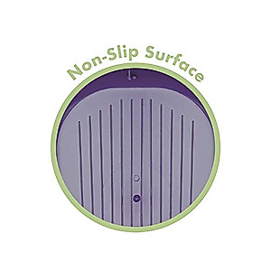 Living World Pet Carrier, Purple/Grey