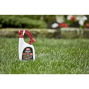 Ortho BugClear Insect Killer for Lawns and Landscapes Ready to Spray, Kills Periodical Cicadas, Ants, Spiders, Fleas, and Ticks, 32 oz., 2-Pack