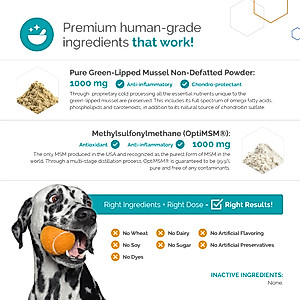 TopDog Health - Flexerna Essentials Green Lipped Mussel Powder & MSM for Dogs - Natural Dog Joint & Mobility Support - Natural Glucosamine Chondroitin + Omega-3 Fatty Acids - Anti-Inflammatory - 3 Oz