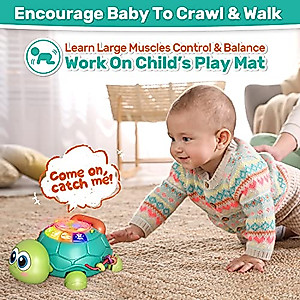 CUTE STONE Baby Toys 6 to 12 Months, Musical Turtle Crawling Baby Toys for 12-18 Months, Early Learning Educational Toy with Light & Sound,Toy for Infant Toddler Boy Girl 7 8 9 10 11 12 Month