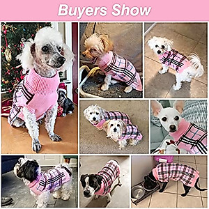 DILLYBUD Small Dog Sweaters, Dog Clothes Turtleneck Plaid Knitwear Pet Sweater Pullover for Puppy Doggie Cat Girls or Boys, Dog Apparel Coat for Fall Winter Cold Weather Indoor or Outdoor Size S,XS,M