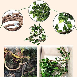 PINVNBY Bearded Dragon Hammock Lizard Natural Seagrass Habitat Reptile Tank Accessories Jungle Climber Vines Flexible Leaves Decor for Climbing Chameleon Hermit Crabs Gecko Snakes