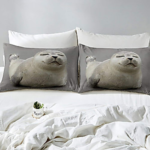 Homewish Seal Bedding Set 3pcs for Kids Boys Teens Sea Animal Theme Comforter Cover Underwater Marine Sealife Duvet Cover Set Microfiber Bedspread Cover with 2 Pillow Cases(No Comforter) Queen Size