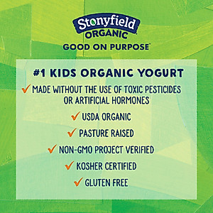 Stonyfield Organic Lowfat Yogurt Smoothies, Strawberry Banana, 3.1 oz., 6 Ct